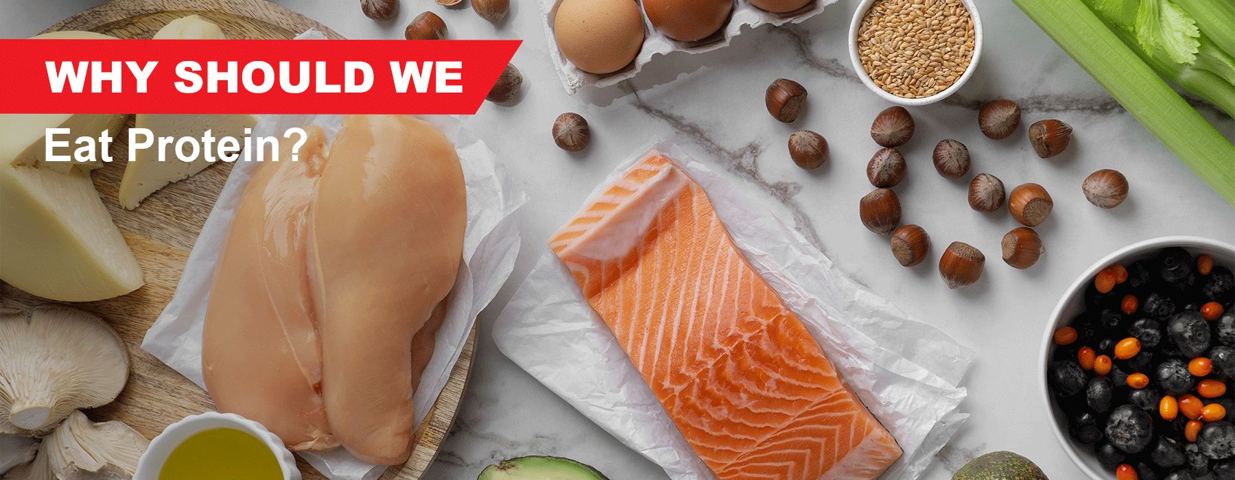 Why should we eat protein? 6 Benefits of eating protein