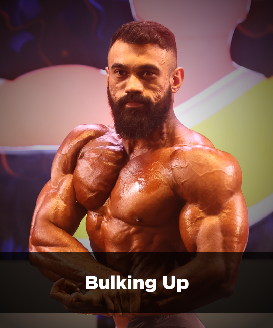 BigMuscles Nutrition | Best Indian Bodybuilding Supplement Brand